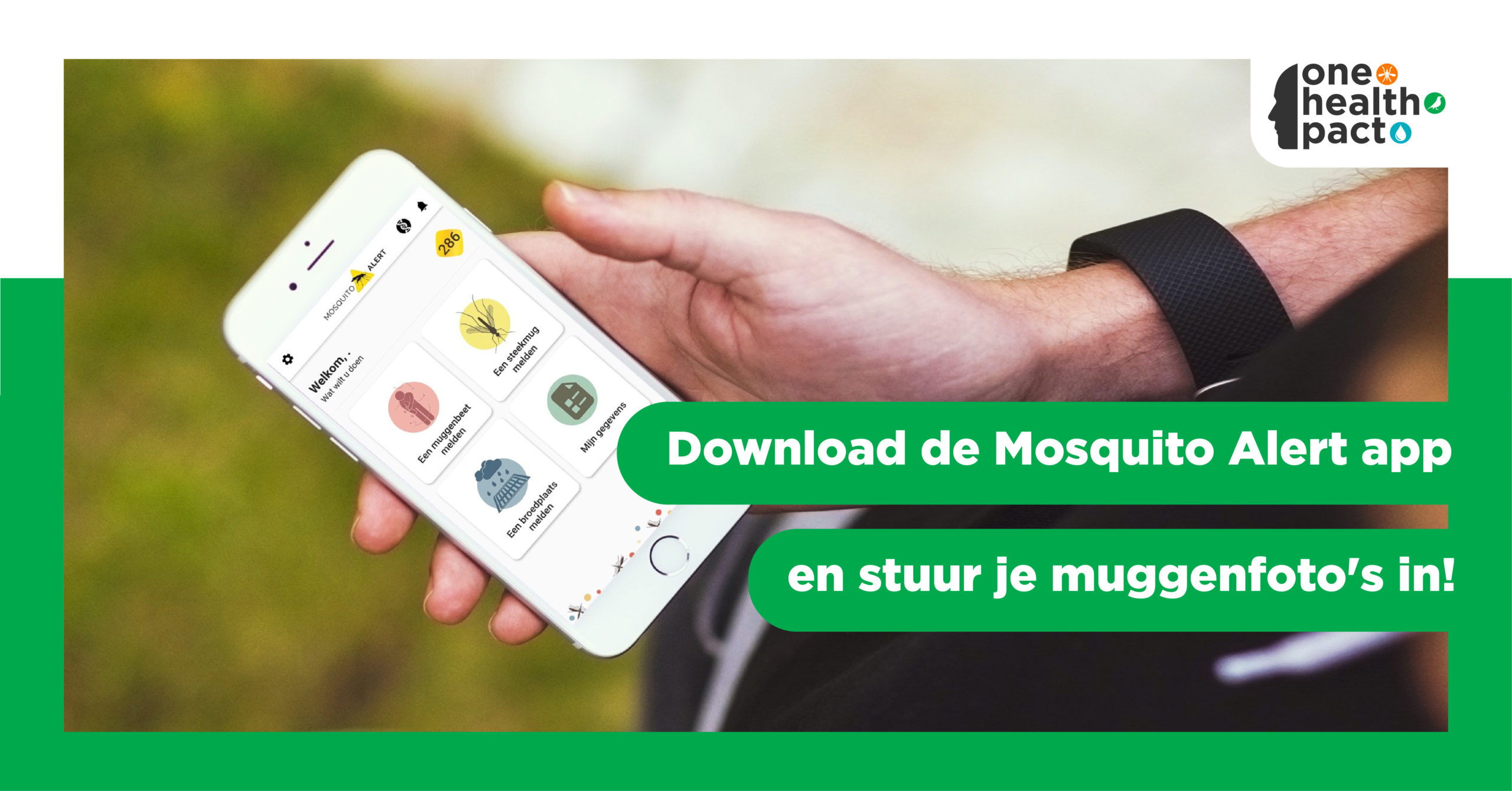 Persbericht: Last van muggen? Sla ze plat en maak een foto! - One ...