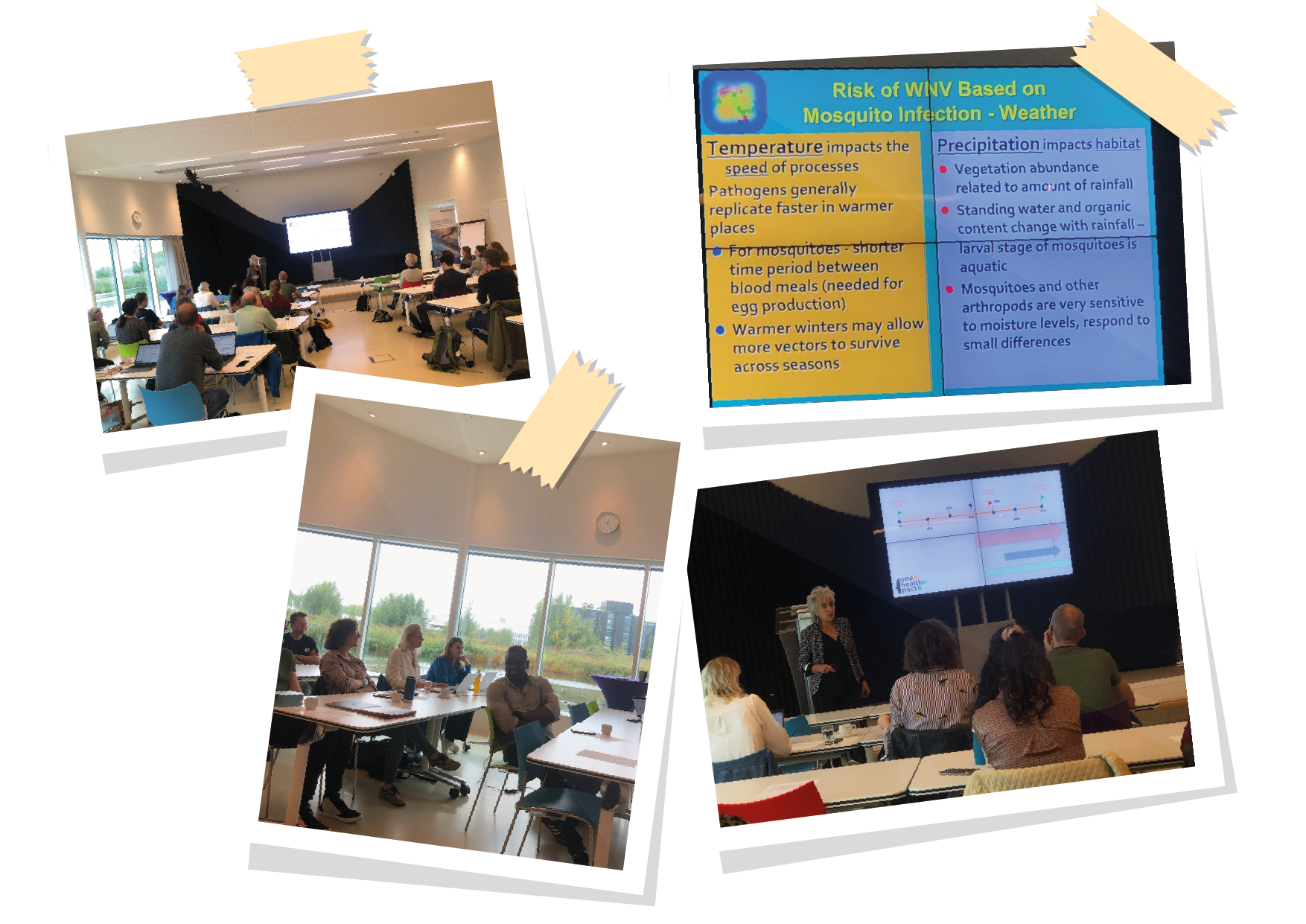 One Health PACT Meeting Summary - Friday, September 29th - One Health PACT